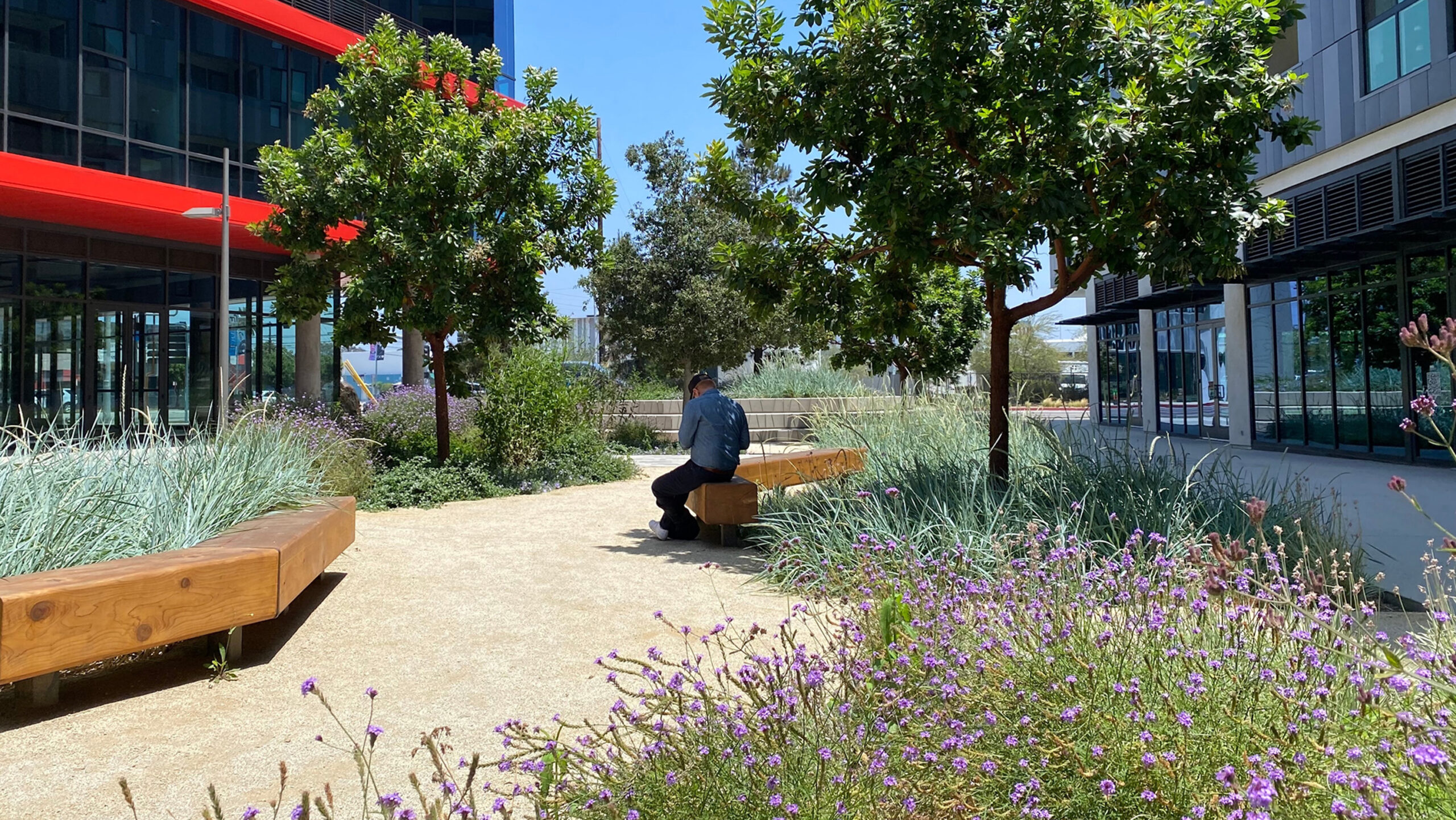 Featured Projects - RELM